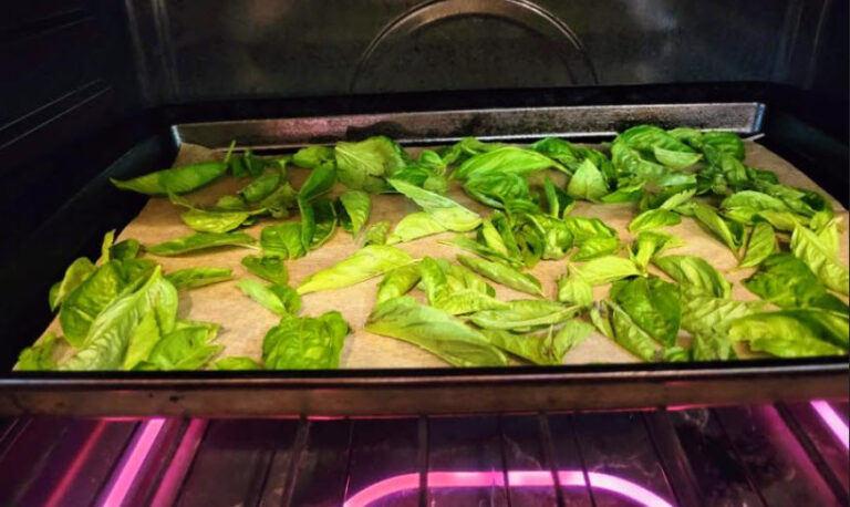 How to Dry Basil: 5 Different Ways